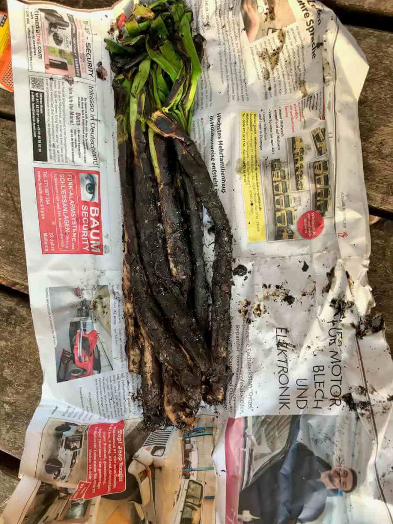 Calçotada - Pollensa Private Chefs